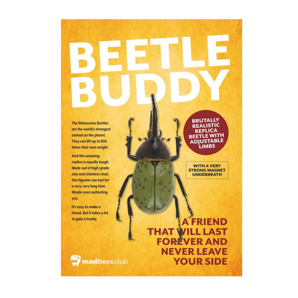 Neptune Beetle (dynastes neptunium) | Green Rhino | BEETLE BUDDY