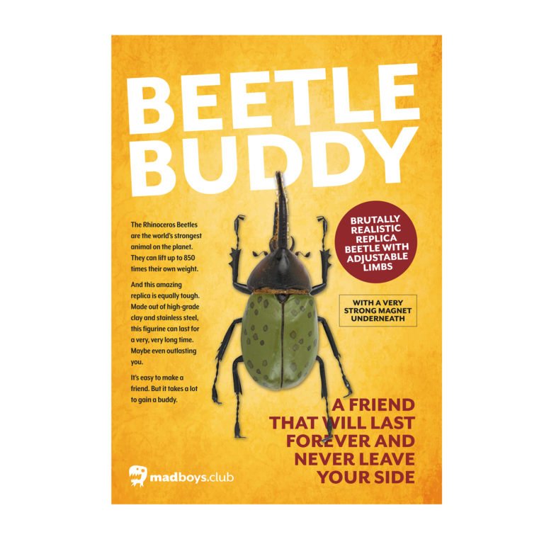 Neptune Beetle (dynastes neptunium) | Green Rhino | BEETLE BUDDY